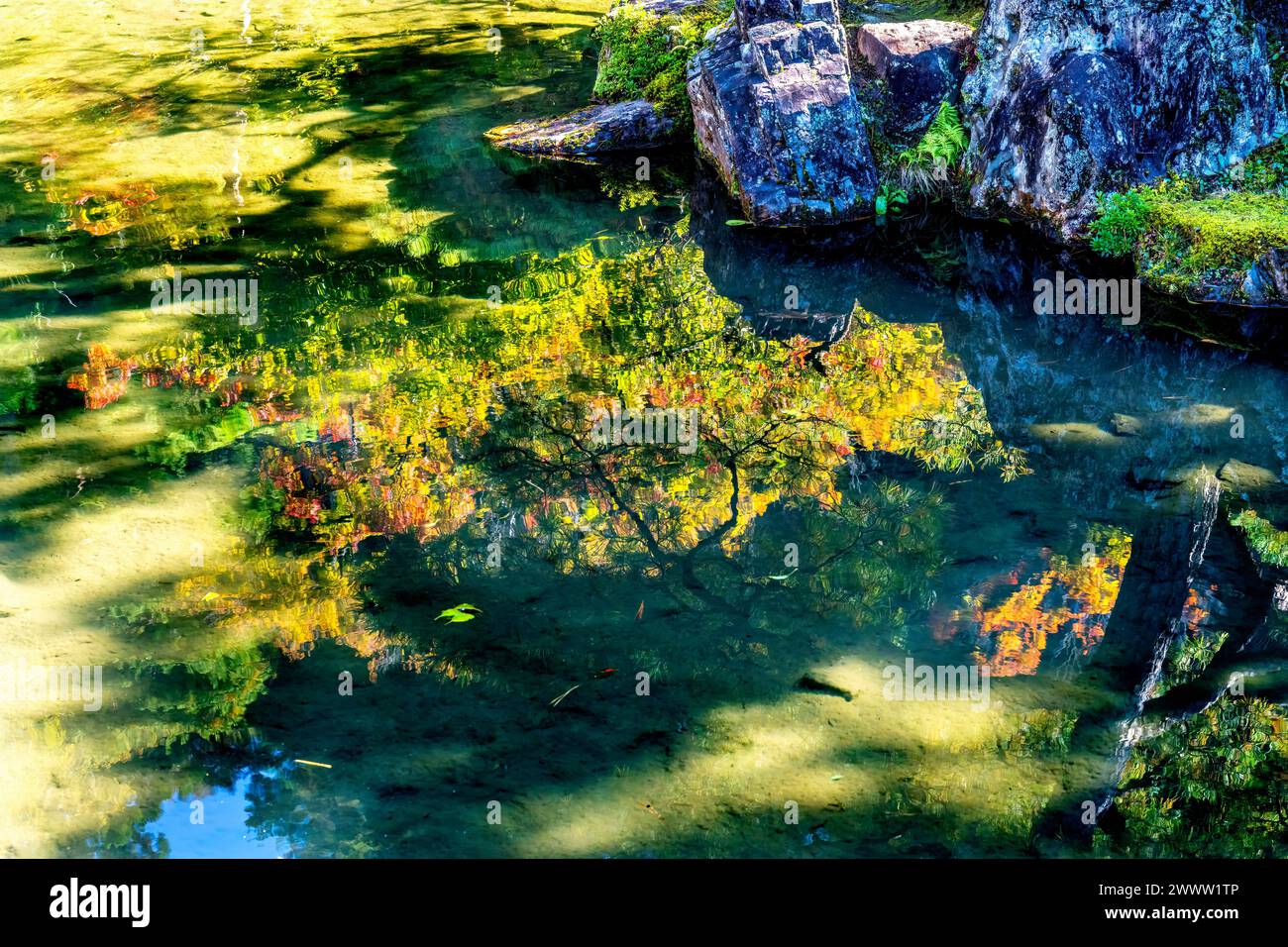 Colorful Fall Leaves Garden Reflection Ginkakuji Silver Pavilion Zen ...