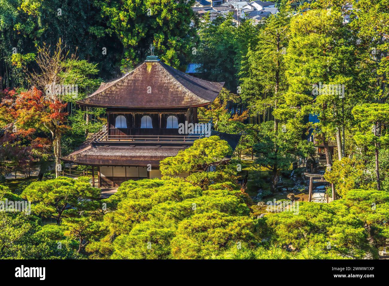 Colorful Fall Leaves Kannon Hall Tori Gate Ginkakuji Silver Pavilion ...