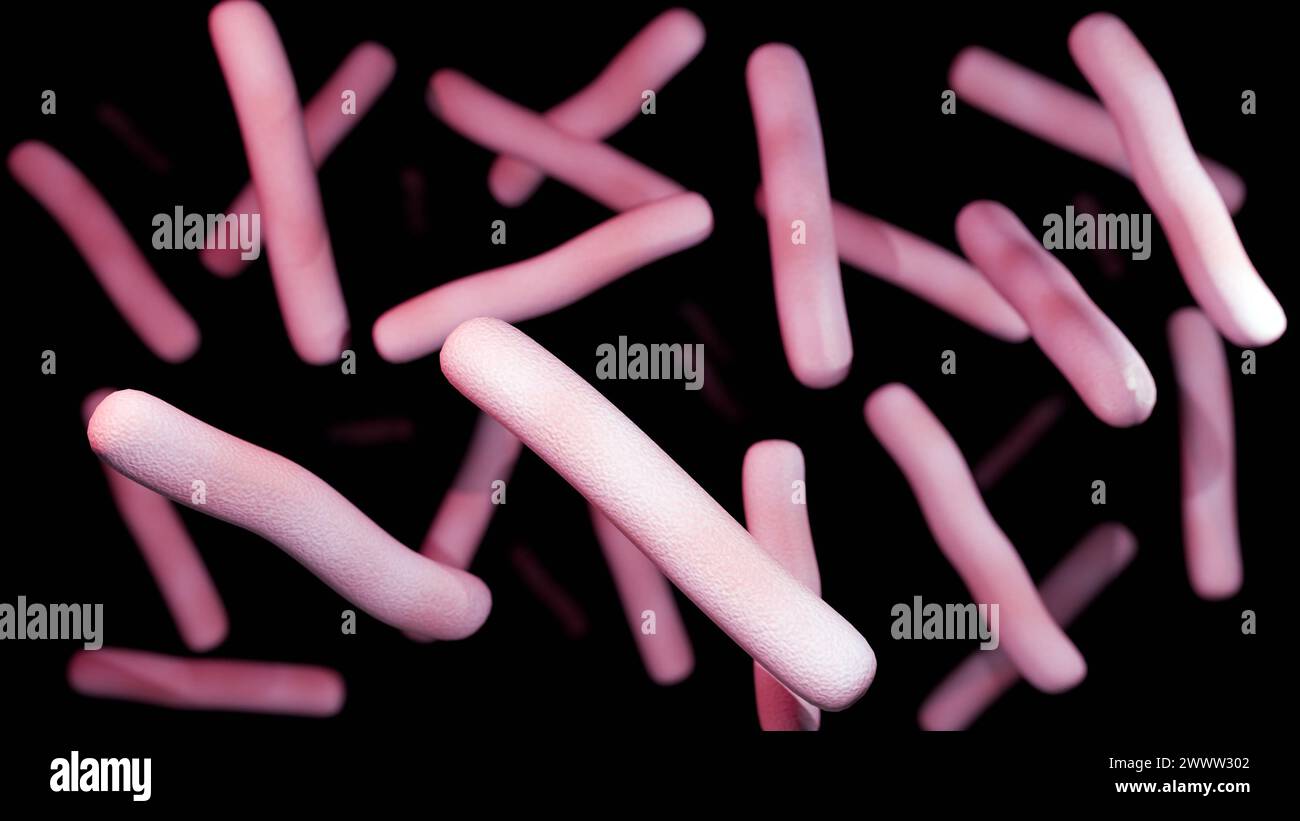 3d rendering of Mycobacterium tuberculosis also known as Koch's bacillus, is a pathogenic ...
