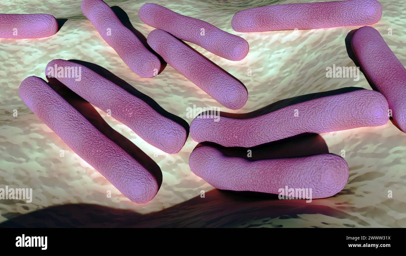 3d rendering of Mycobacterium tuberculosis also known as Koch's ...