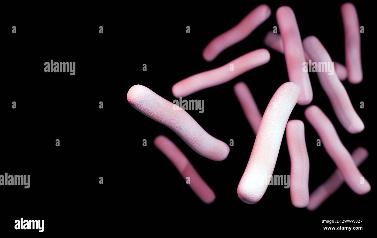 3d rendering of Mycobacterium tuberculosis also known as Koch's ...