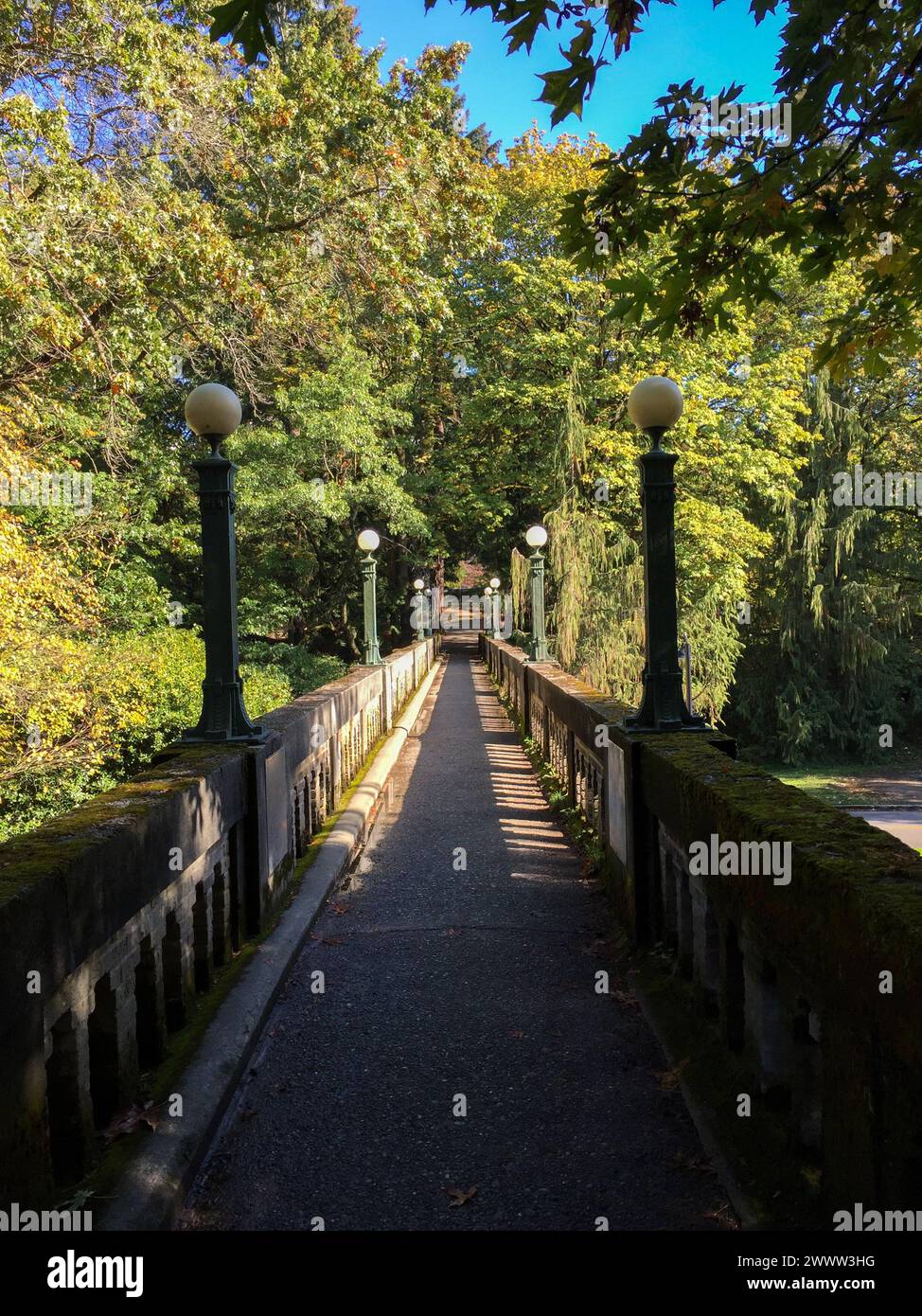 The Washington Park Arboretum, Botanic Gardens in the City of Seattle ...