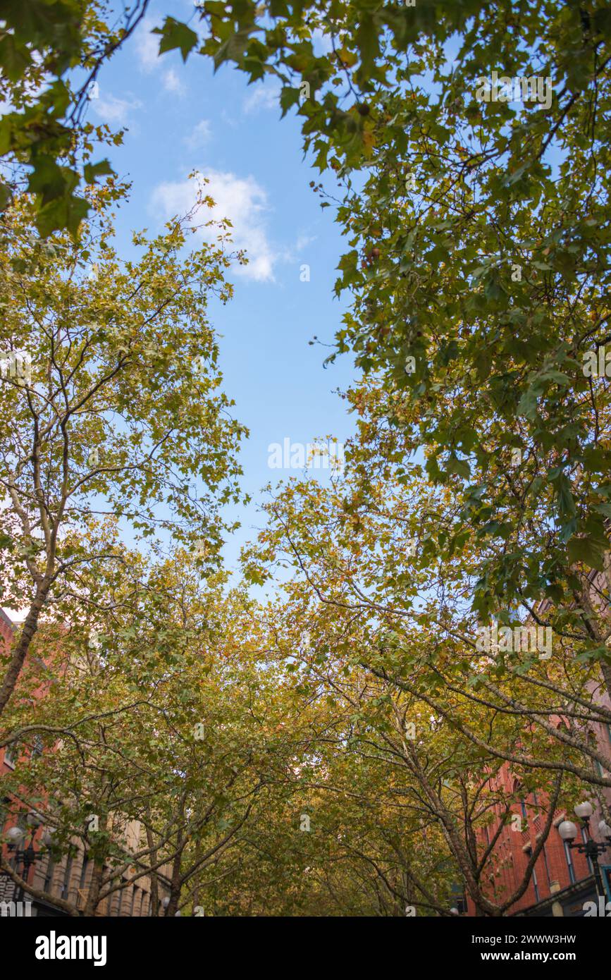 The Klondike Gold Rush National Historical Park in Seattle, Washington ...