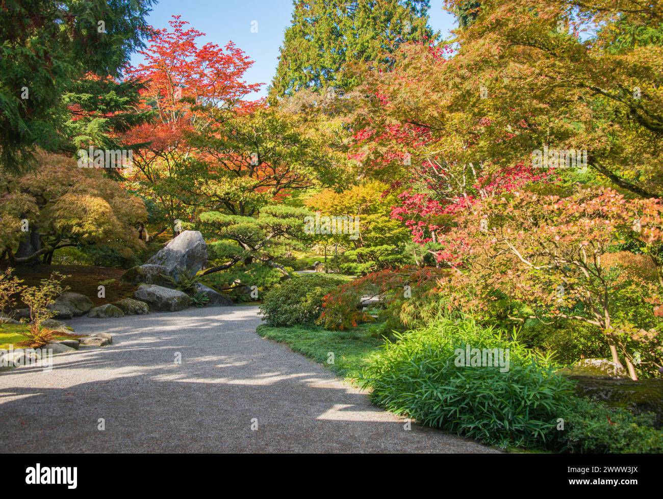 The Washington Park Arboretum, Botanic Gardens in the City of Seattle ...