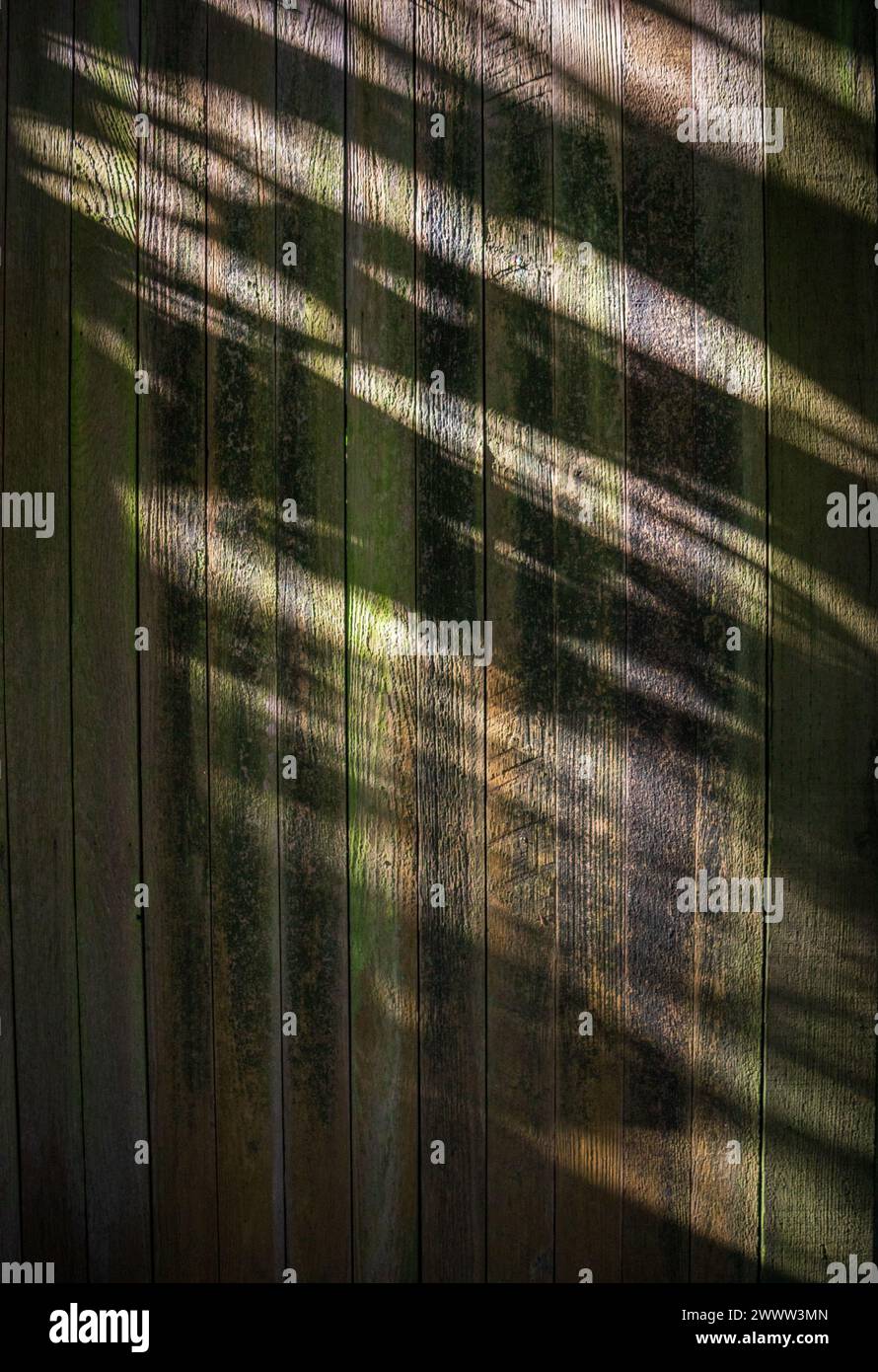 The Washington Park Arboretum, Botanic Gardens in the City of Seattle ...