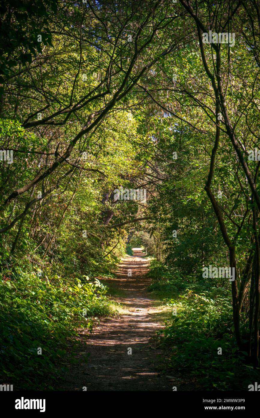 The Washington Park Arboretum, Botanic Gardens in the City of Seattle ...