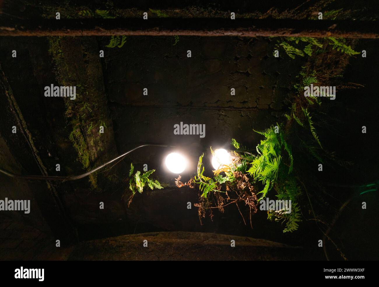 The Seattle Underground, Network of underground passageways and ...