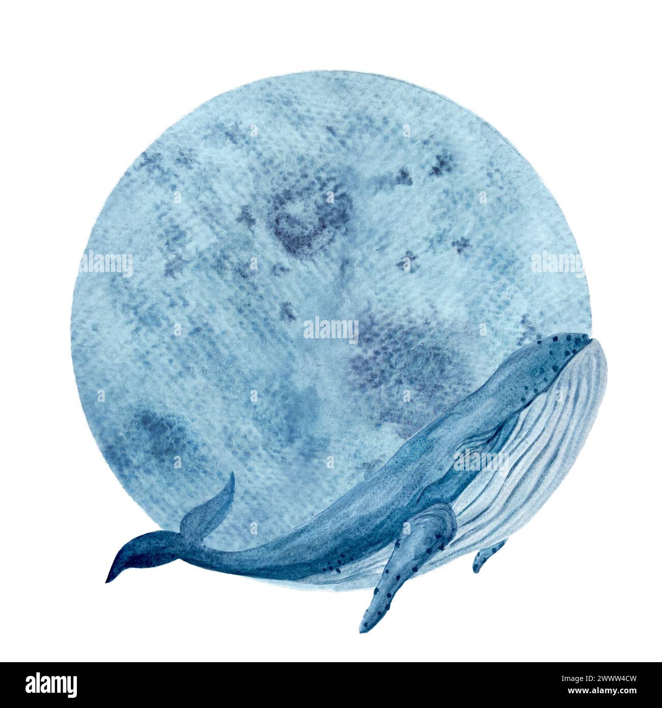 Watercolor hand-drawn humpback whale and a moon isolated on white Stock ...