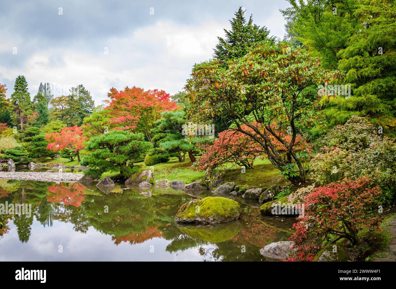The Washington Park Arboretum, Botanic Gardens in the City of Seattle ...