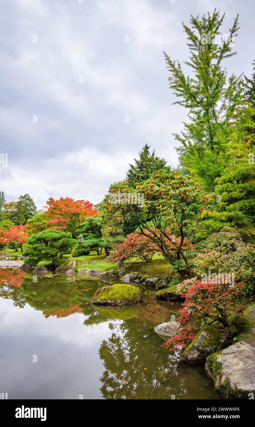 The Washington Park Arboretum, Botanic Gardens in the City of Seattle ...