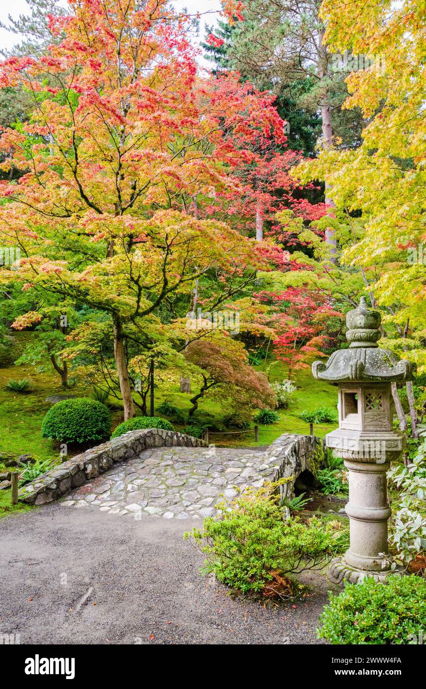 The Washington Park Arboretum, Botanic Gardens in the City of Seattle ...