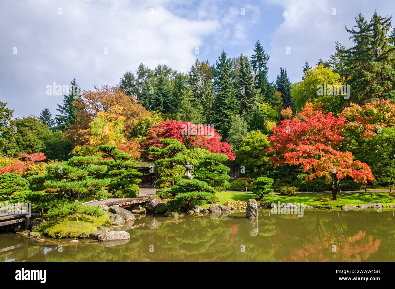 The Washington Park Arboretum, Botanic Gardens in the City of Seattle ...