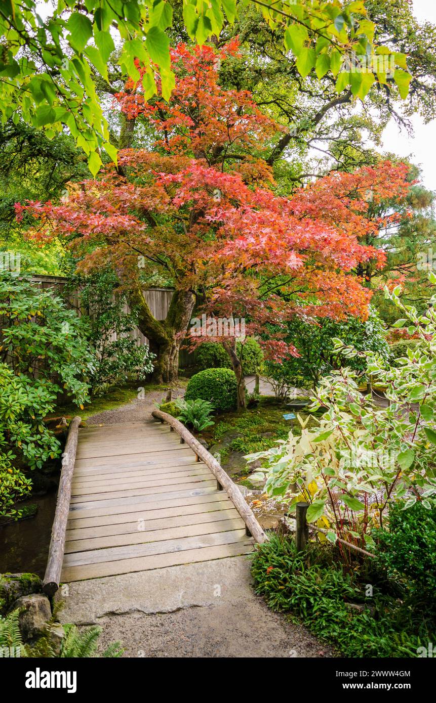 The Washington Park Arboretum, Botanic Gardens in the City of Seattle ...
