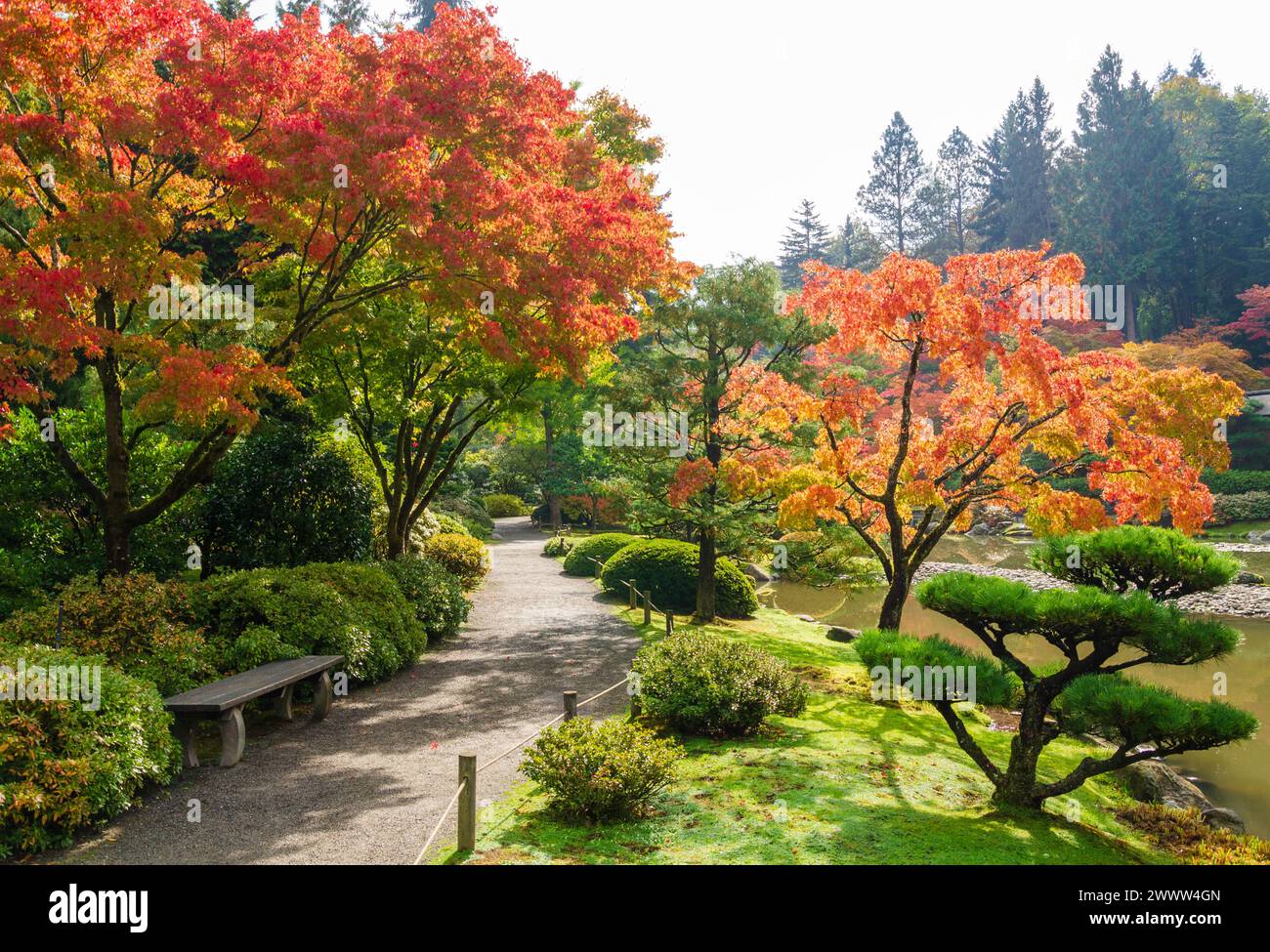 The Washington Park Arboretum, Botanic Gardens in the City of Seattle ...