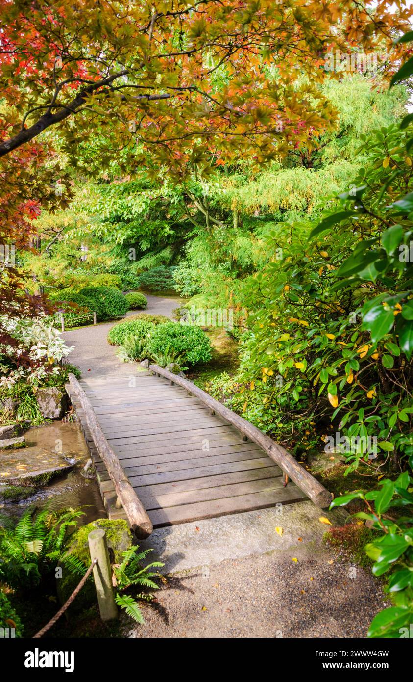 The Washington Park Arboretum, Botanic Gardens in the City of Seattle ...
