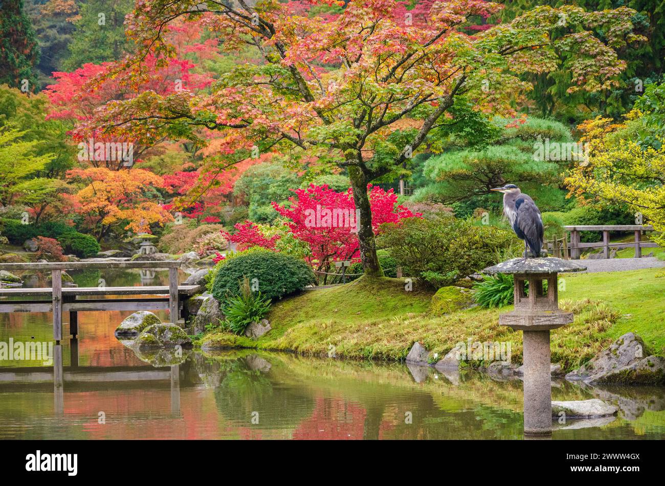 The Washington Park Arboretum, Botanic Gardens in the City of Seattle ...