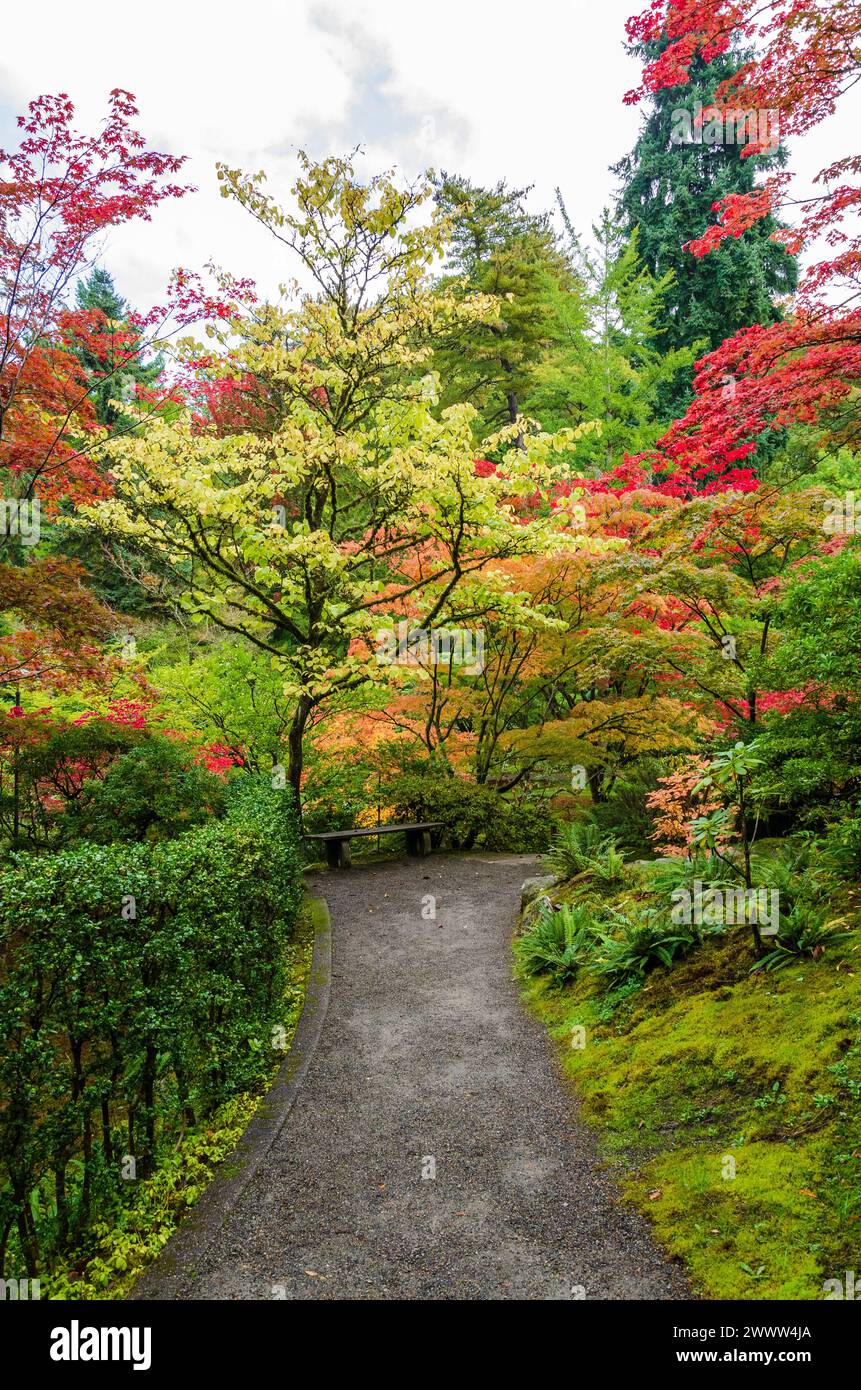 The Washington Park Arboretum, Botanic Gardens in the City of Seattle ...