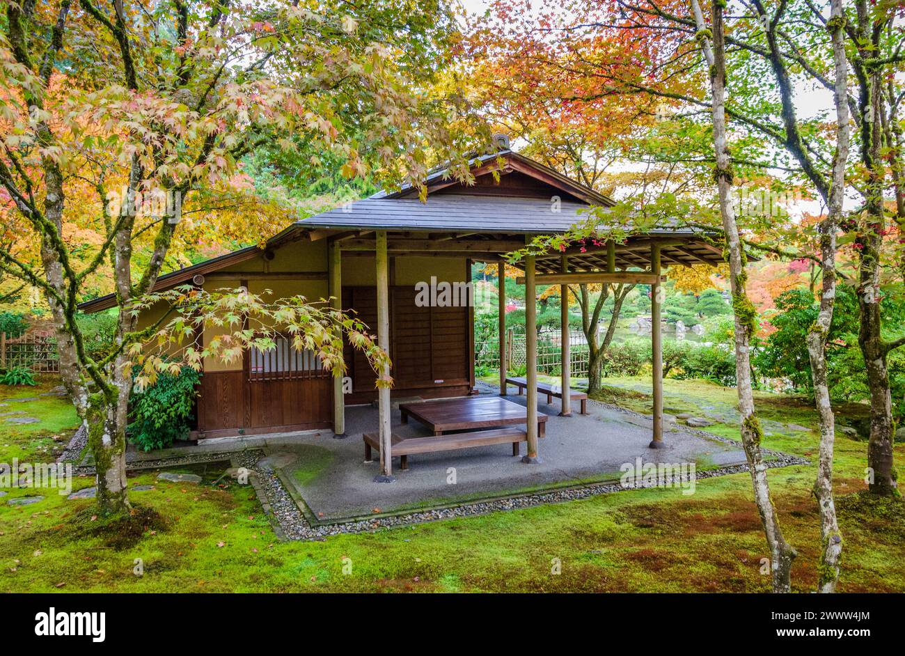 The Washington Park Arboretum, Botanic Gardens in the City of Seattle ...