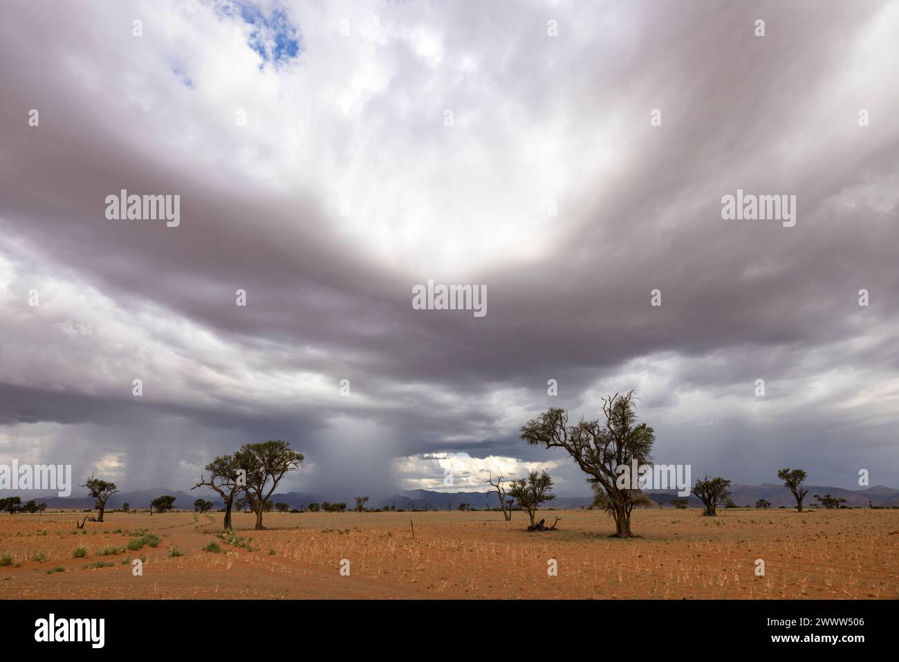 First rain of the season on the dry Namib Desert Namibia Stock Photo ...