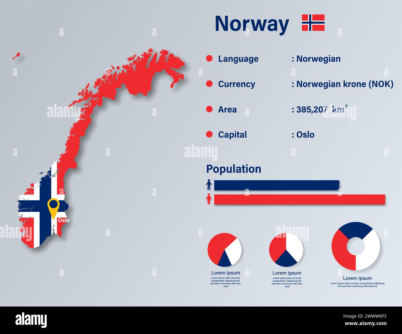 Norway Infographic Vector Illustration, Norway Statistical Data Element ...