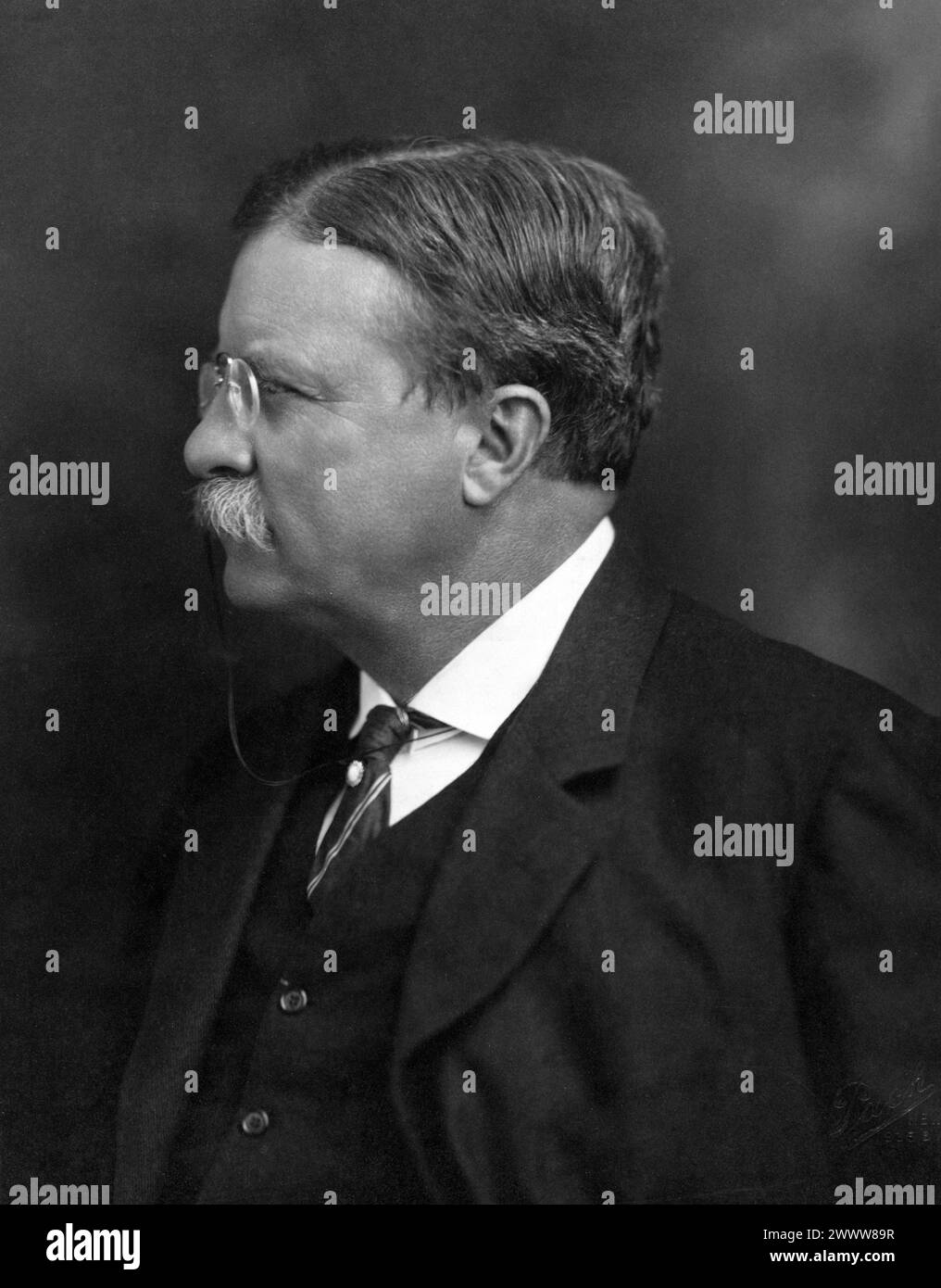 Theodore Roosevelt portrait, 1913 Stock Photo - Alamy