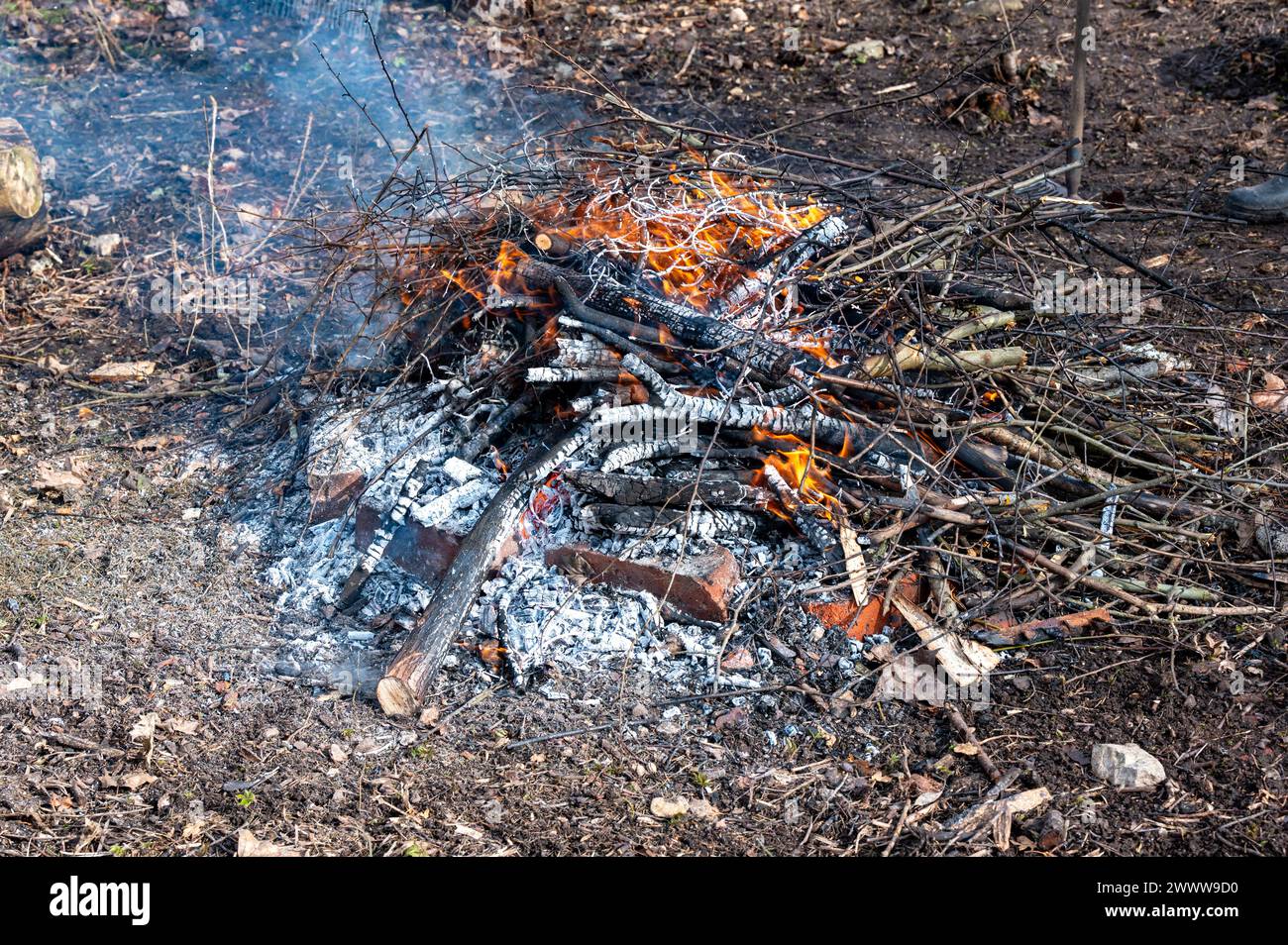 Fire outdoors with branches from garden clearing Stock Photo - Alamy