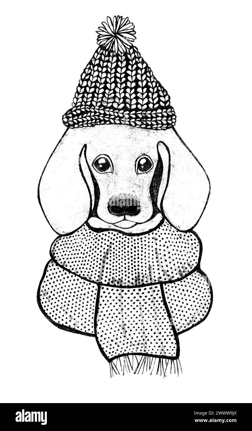 Illustration of dog in a knitted hat and scarf. Outline drawing ...
