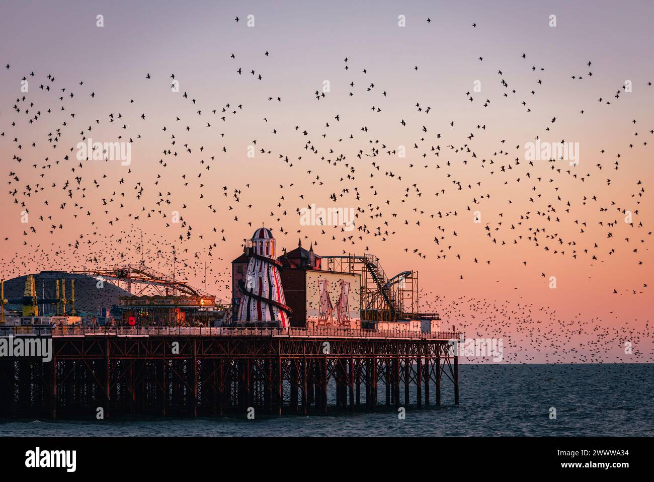 Starling murmuration at sunset over Palace Pier on the Brighton ...