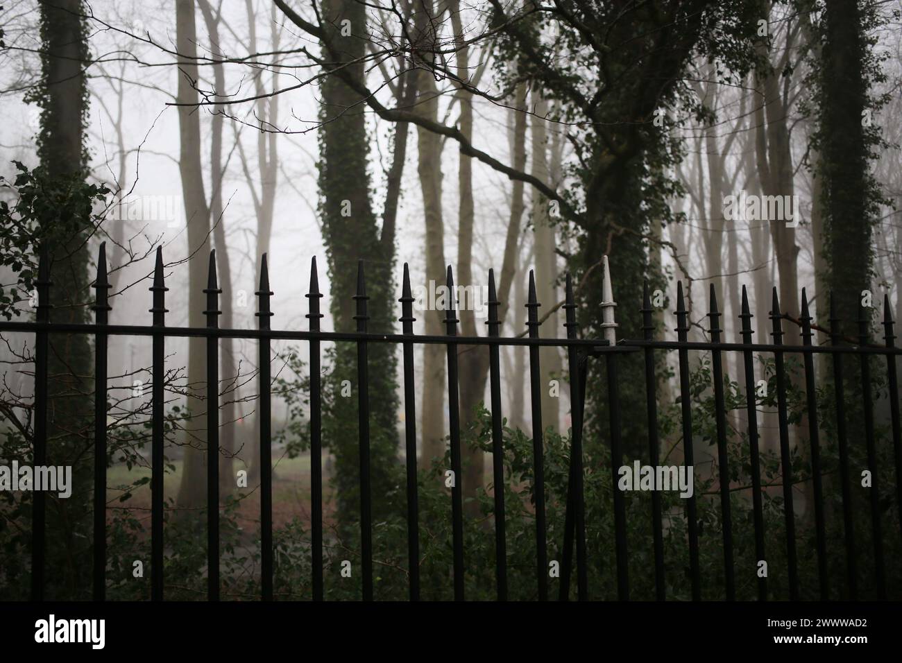 Mist misty misting hi-res stock photography and images - Alamy