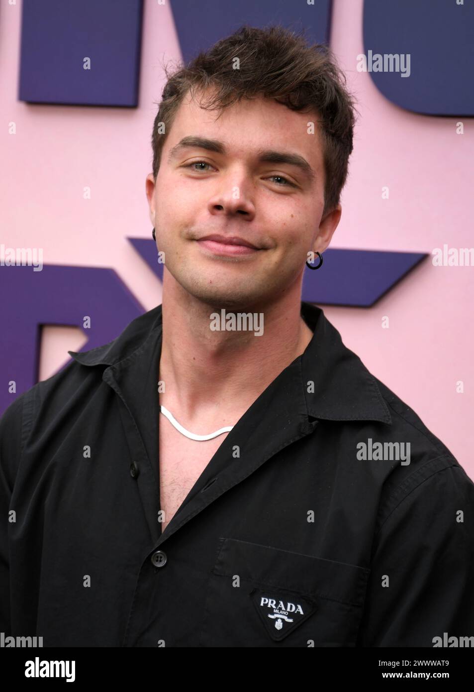 Hollywood, California, USA 25th March 2024 Austin Sprinz attends Warner ...