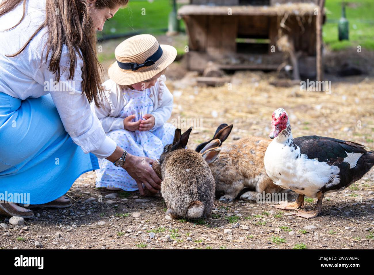 Mom and small daughter feeding rabbits and birds on farm Stock Photo ...