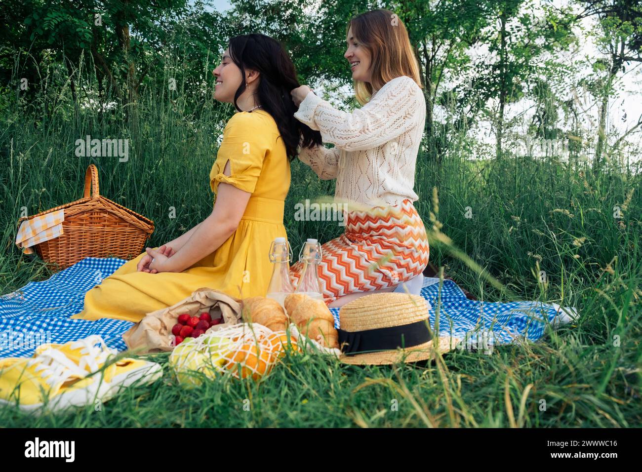 Braiding friendship: young woman styles friend's hair at picnic Stock ...