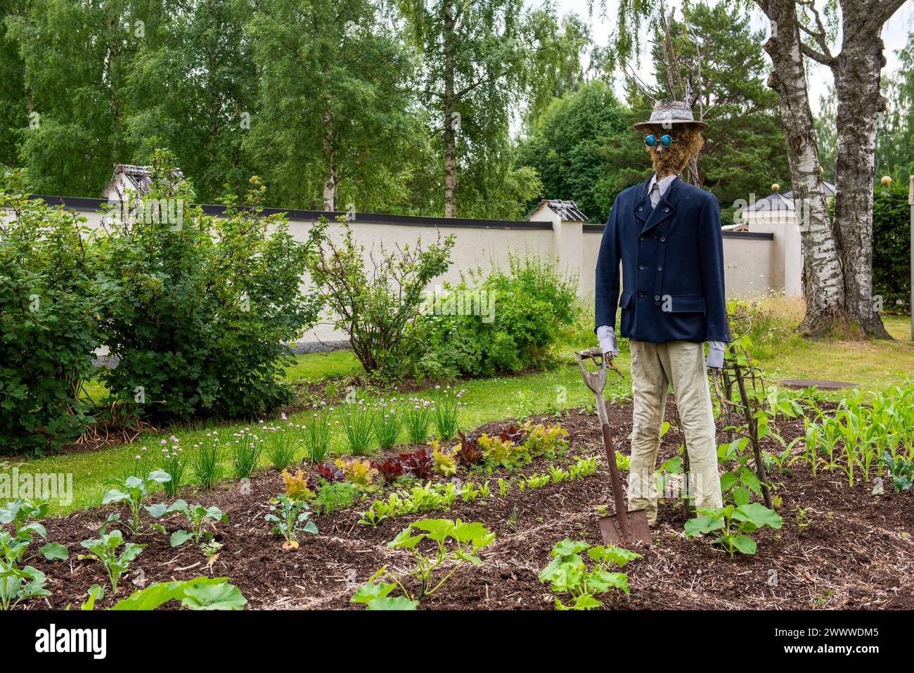 A scarecrow in a garden plot Stock Photo - Alamy