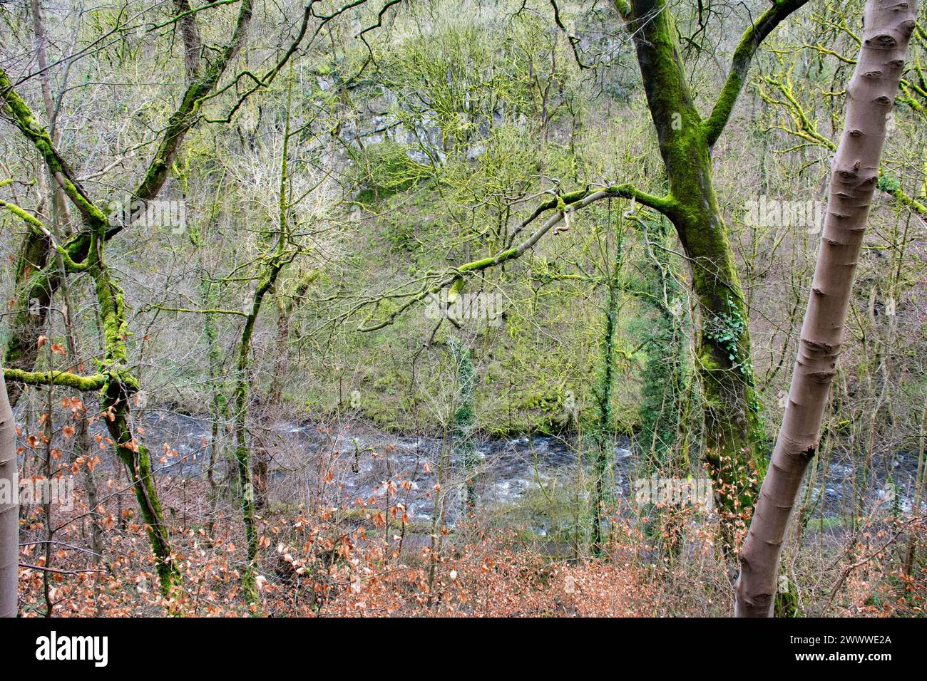 Che dale hi-res stock photography and images - Alamy