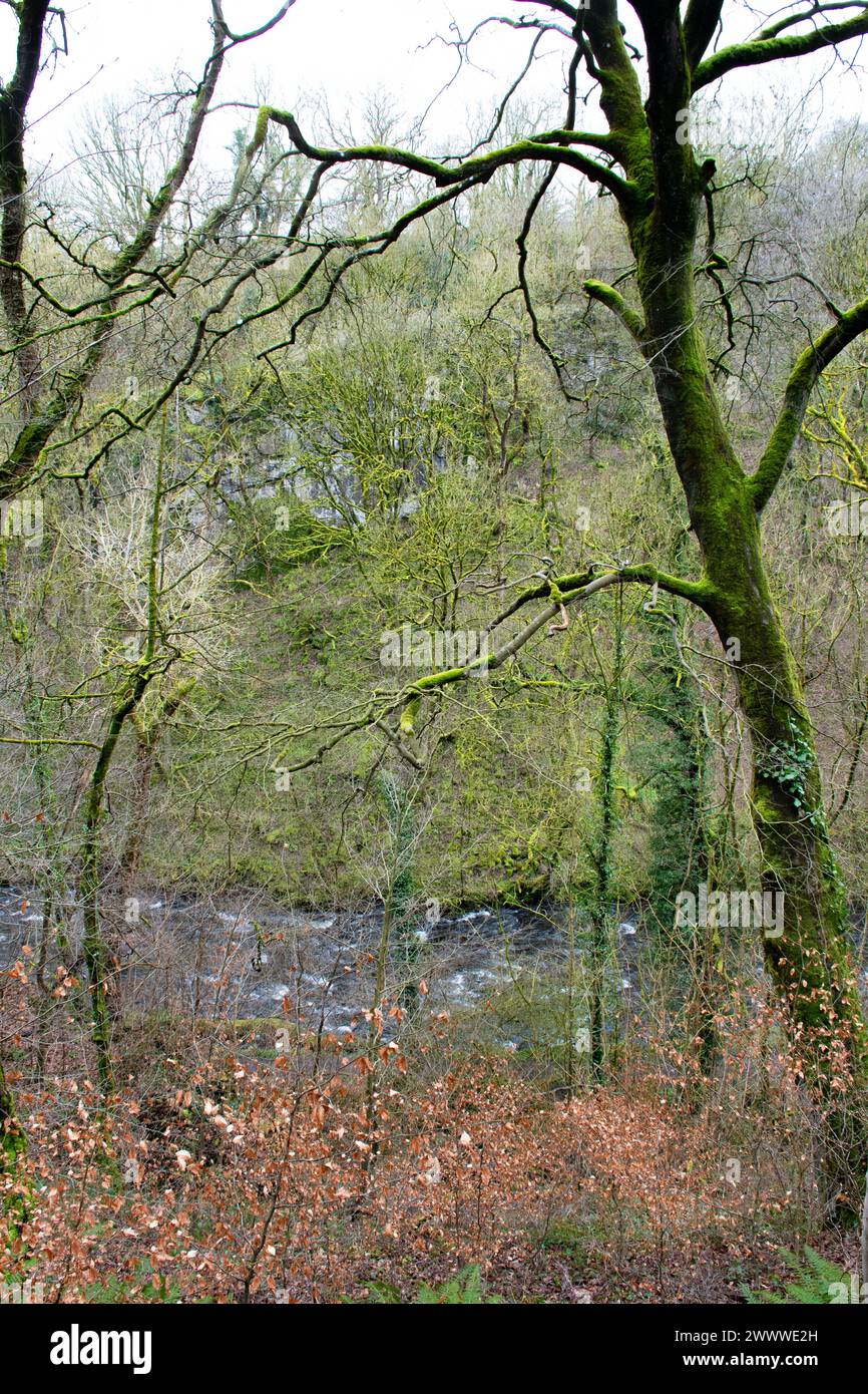 Che dale hi-res stock photography and images - Alamy