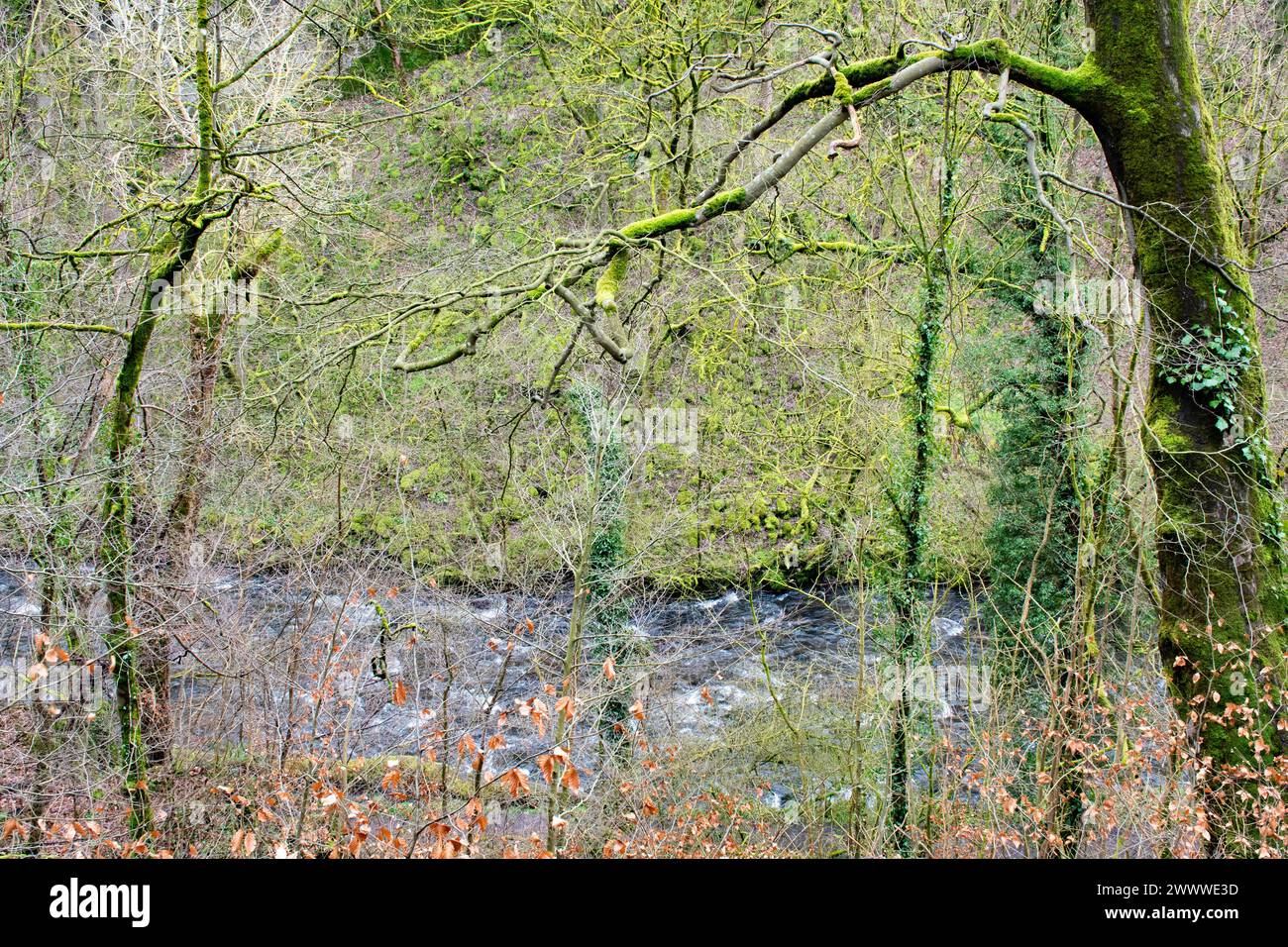 Che dale hi-res stock photography and images - Alamy