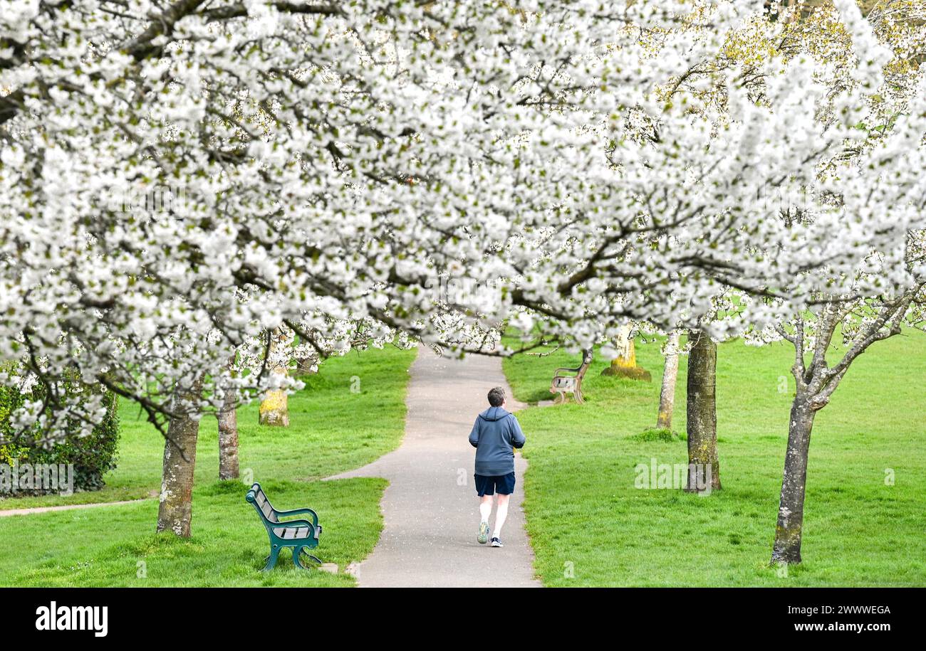 Spring of 2024 hi-res stock photography and images - Alamy