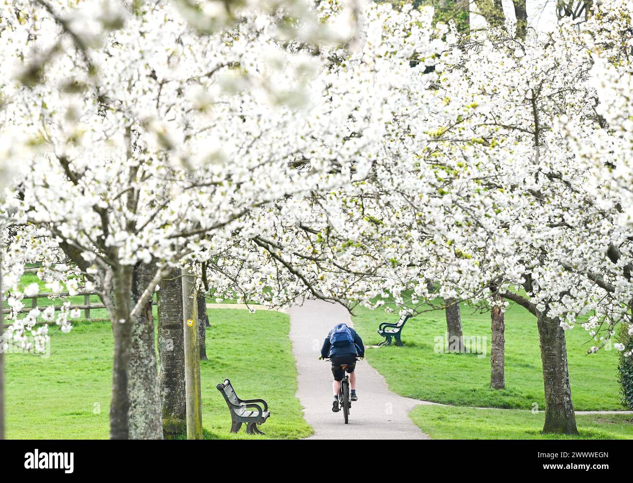 2024 spring hi-res stock photography and images - Alamy