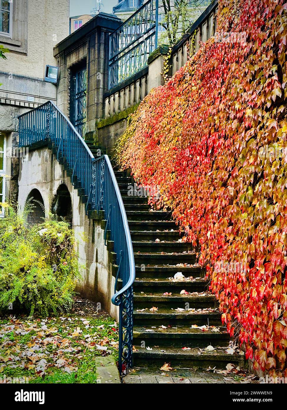 Autumn leave outlining a staircase leading up to a main street Stock ...
