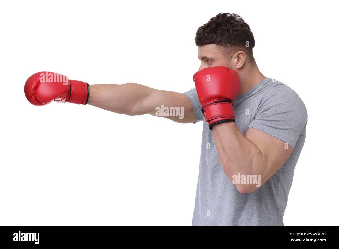 Man in boxing gloves fighting on white background Stock Photo - Alamy
