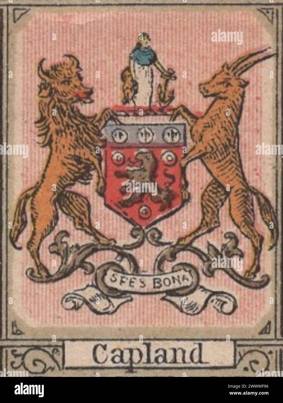 Arms of the cape colony hi-res stock photography and images - Alamy