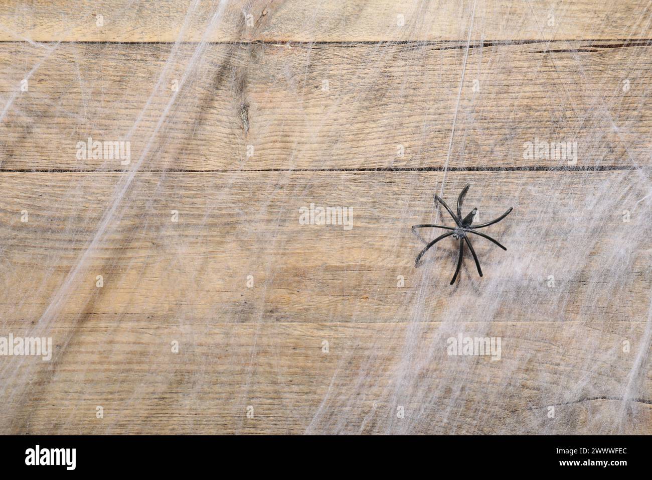 Cobweb and spider on wooden surface, top view Stock Photo - Alamy