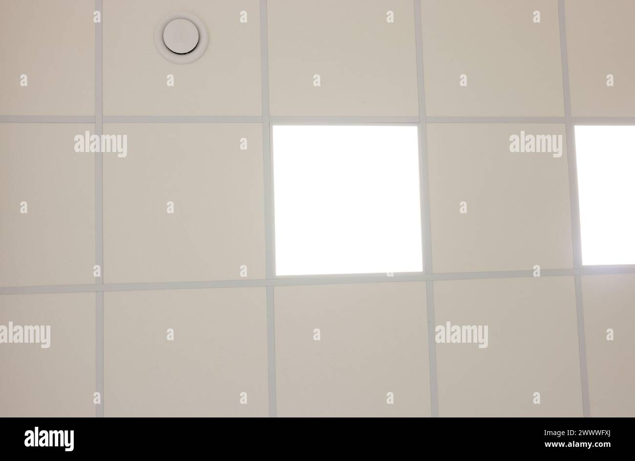 White ceiling with PVC tiles and lighting, bottom view Stock Photo - Alamy