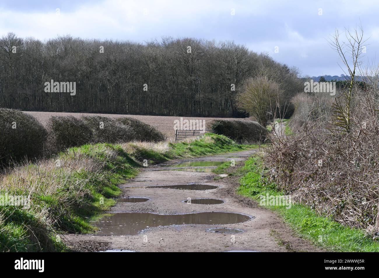 large puddles after heavy rain Stock Photo - Alamy