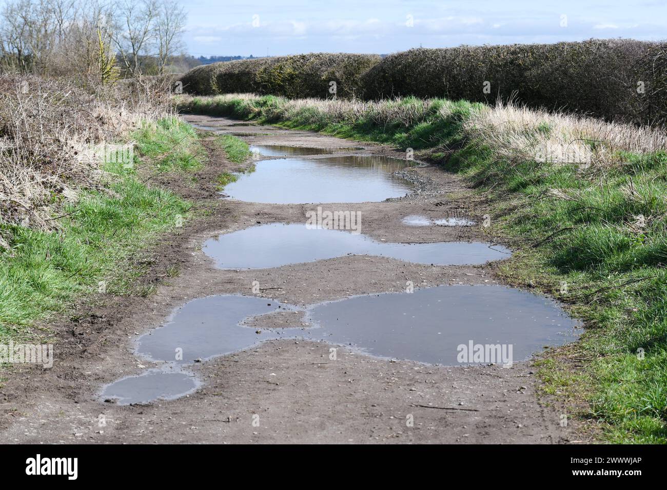 large puddles after heavy rain Stock Photo - Alamy