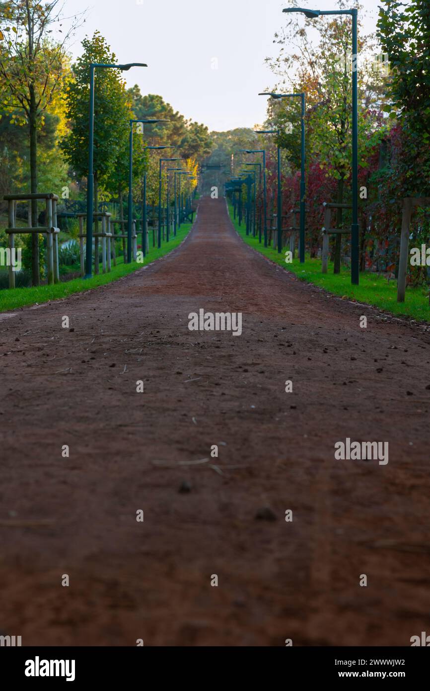 A jogging trail in a park with lightpoles in vertical shot. Jogging or ...