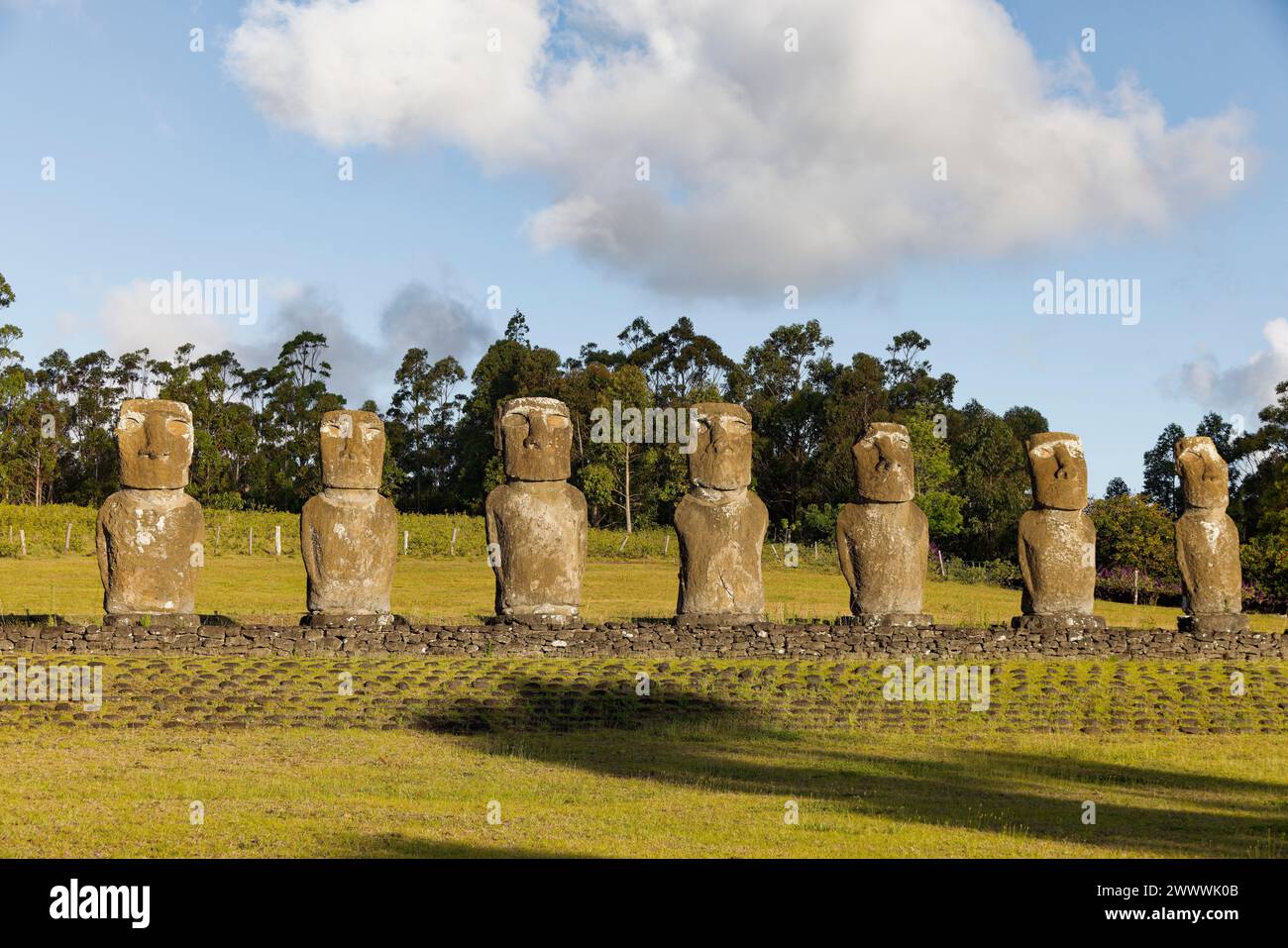 île de pâques rapa nui national park hi-res stock photography and ...