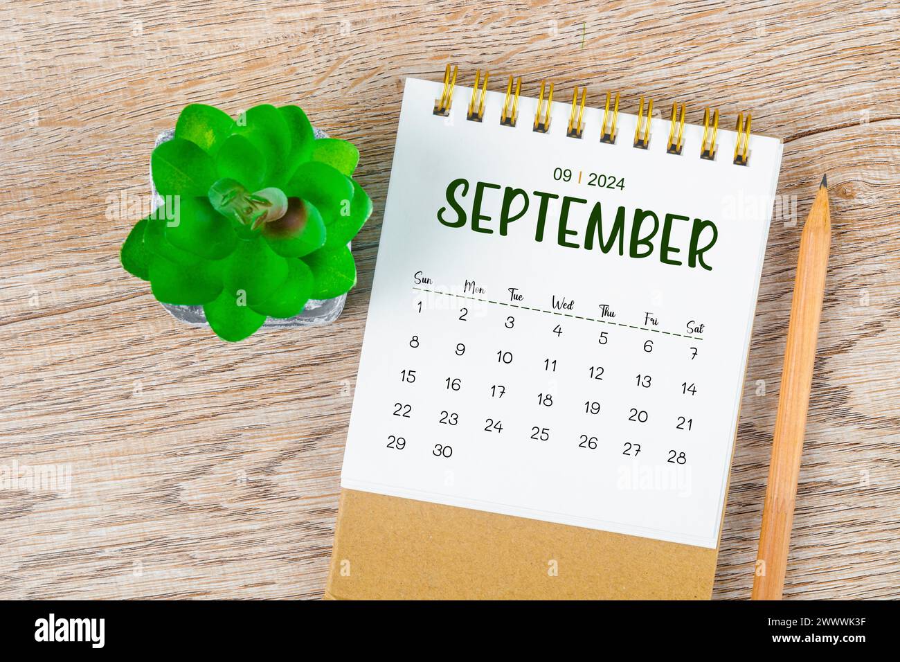September 2024 monthly desk calendar and pencil with plant pot ...