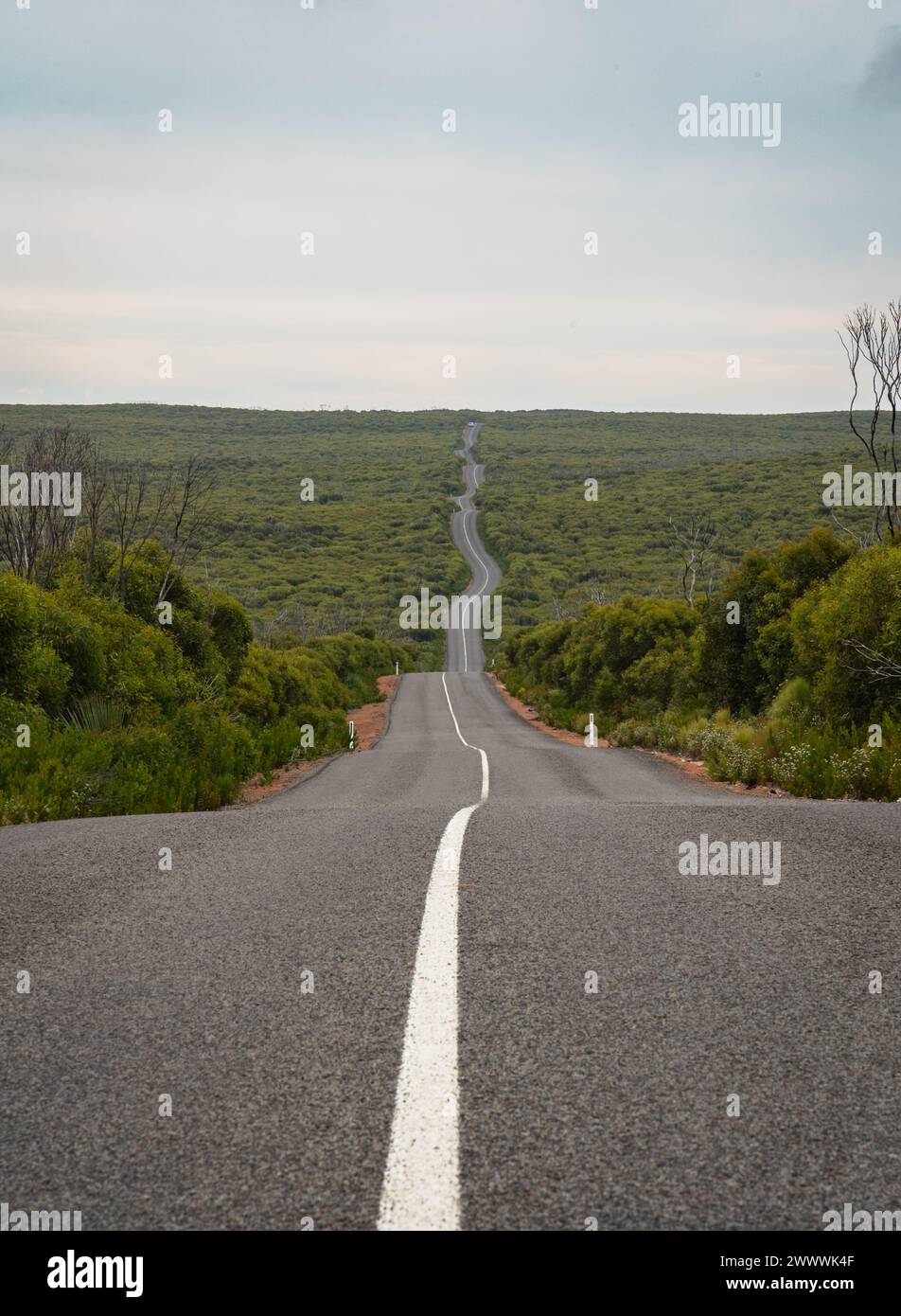 Scenic highway flanked by trees and shrubs on both sides Stock Photo ...