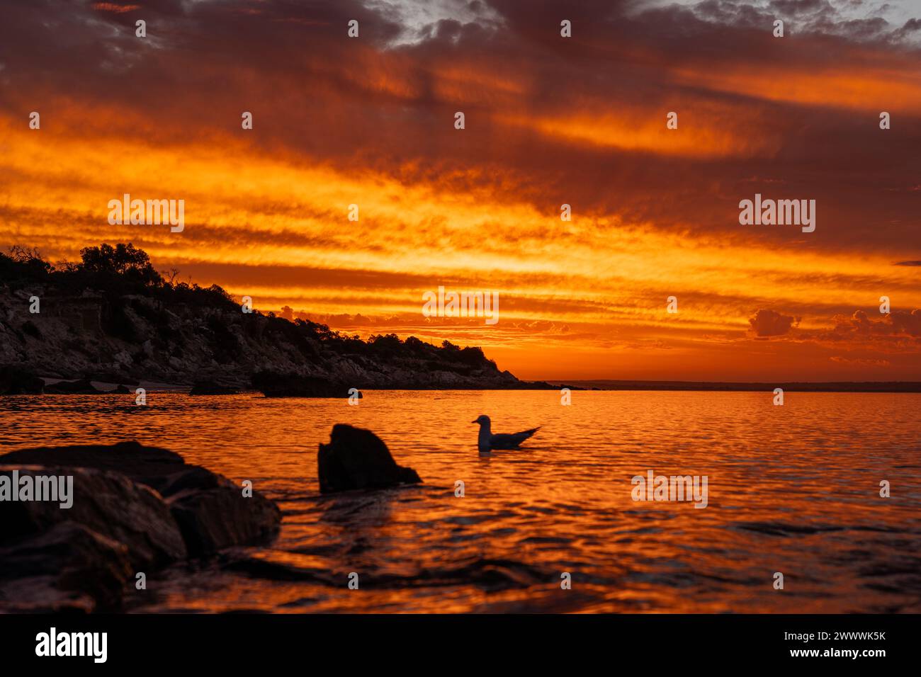The Sun setting over ocean beach with rocks in water Stock Photo - Alamy